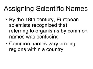 Biology - Chp 18 - Classification - PowerPoint | PPT