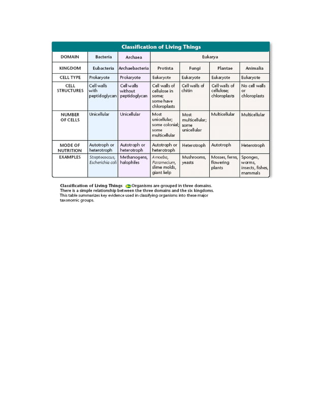 Biology - Chp 18 - Classification - Notes | DOC