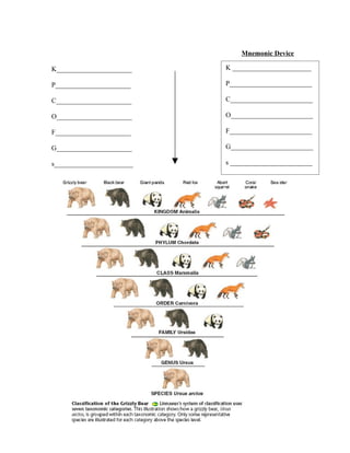 Biology - Chp 18 - Classification - Notes | DOC