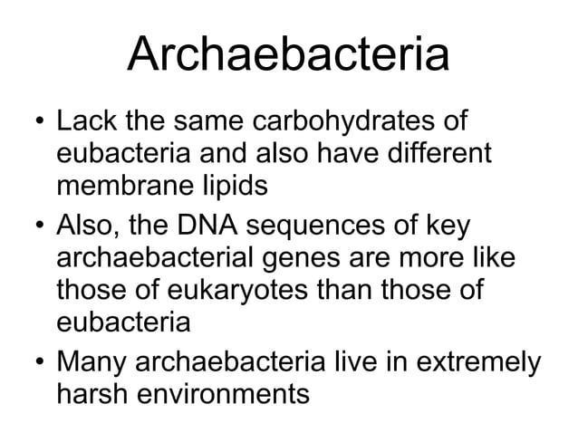 Biology - Chp 19 - Bacteria And Viruses - PowerPoint | PPT