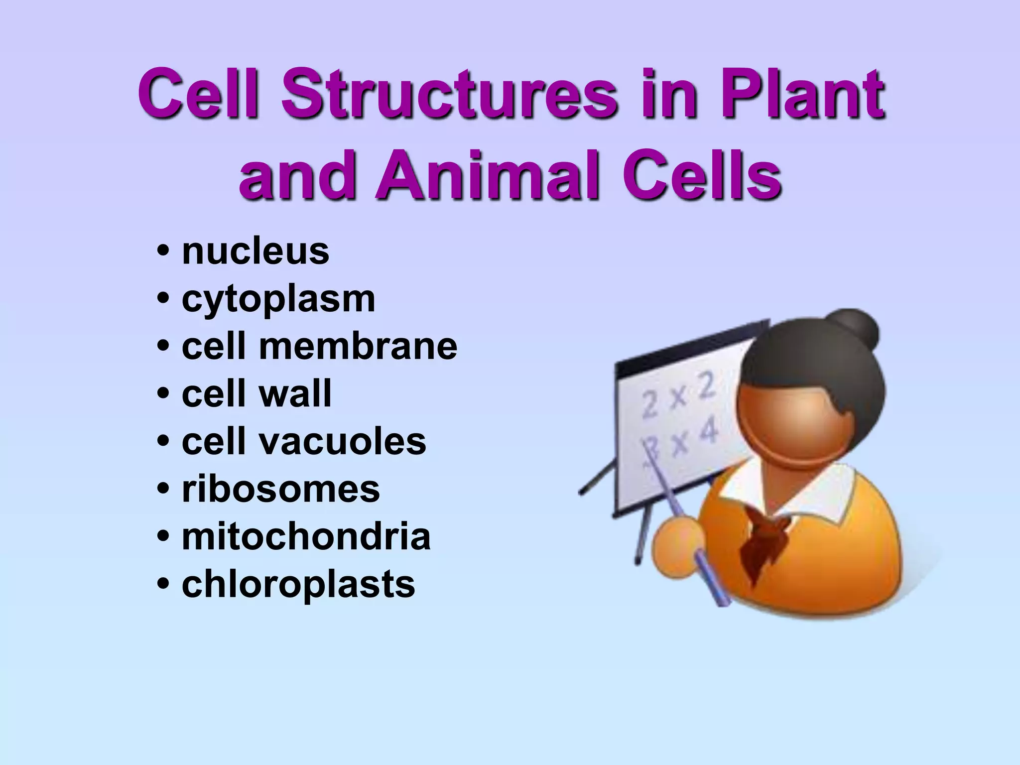 Biology chapter 1 cell structure and organisation | PPT