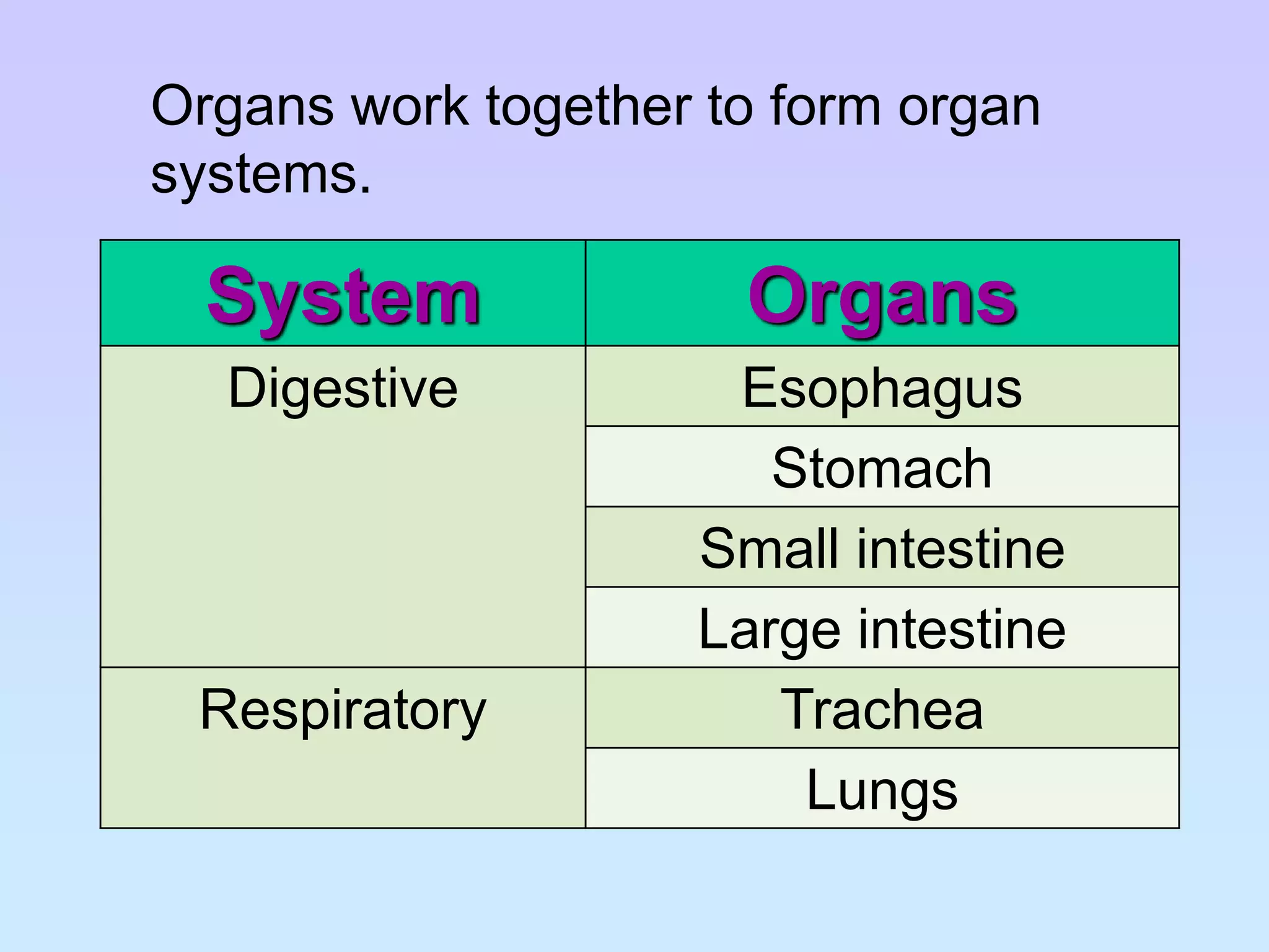 Biology chapter 1 cell structure and organisation | PPT