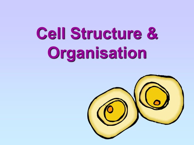 Biology chapter 1 cell structure and organisation | PPT | Biological ...