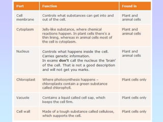 Biology chapter 1 cell structure and organisation | PPT