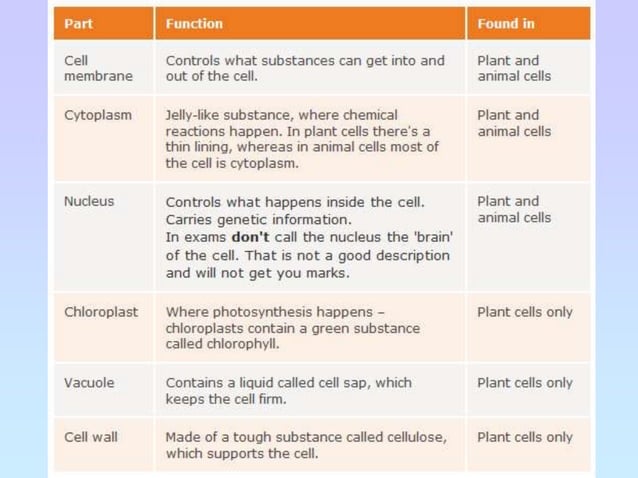 Biology chapter 1 cell structure and organisation | PPT | Biological ...