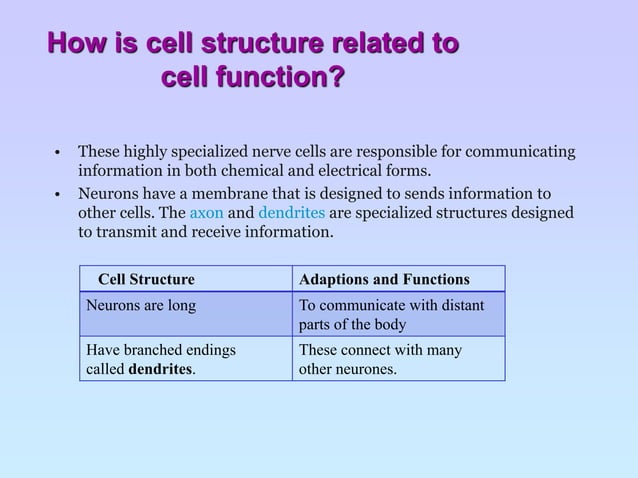 Biology chapter 1 cell structure and organisation | PPT | Biological ...