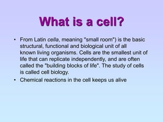 Biology chapter 1 cell structure and organisation | PPT