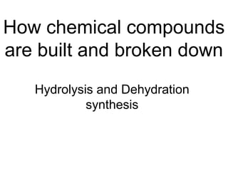 Biology - Chp 2 - Hydrolysis And Dehydration Synthesis - PowerPoint | PPT