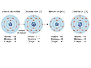 Biology - Chp 2 - The Chemistry Of Life - PowerPoint | PPT