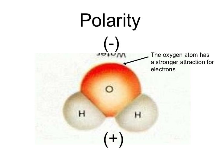 Biology - Chp 2 - The Chemistry Of Life - PowerPoint