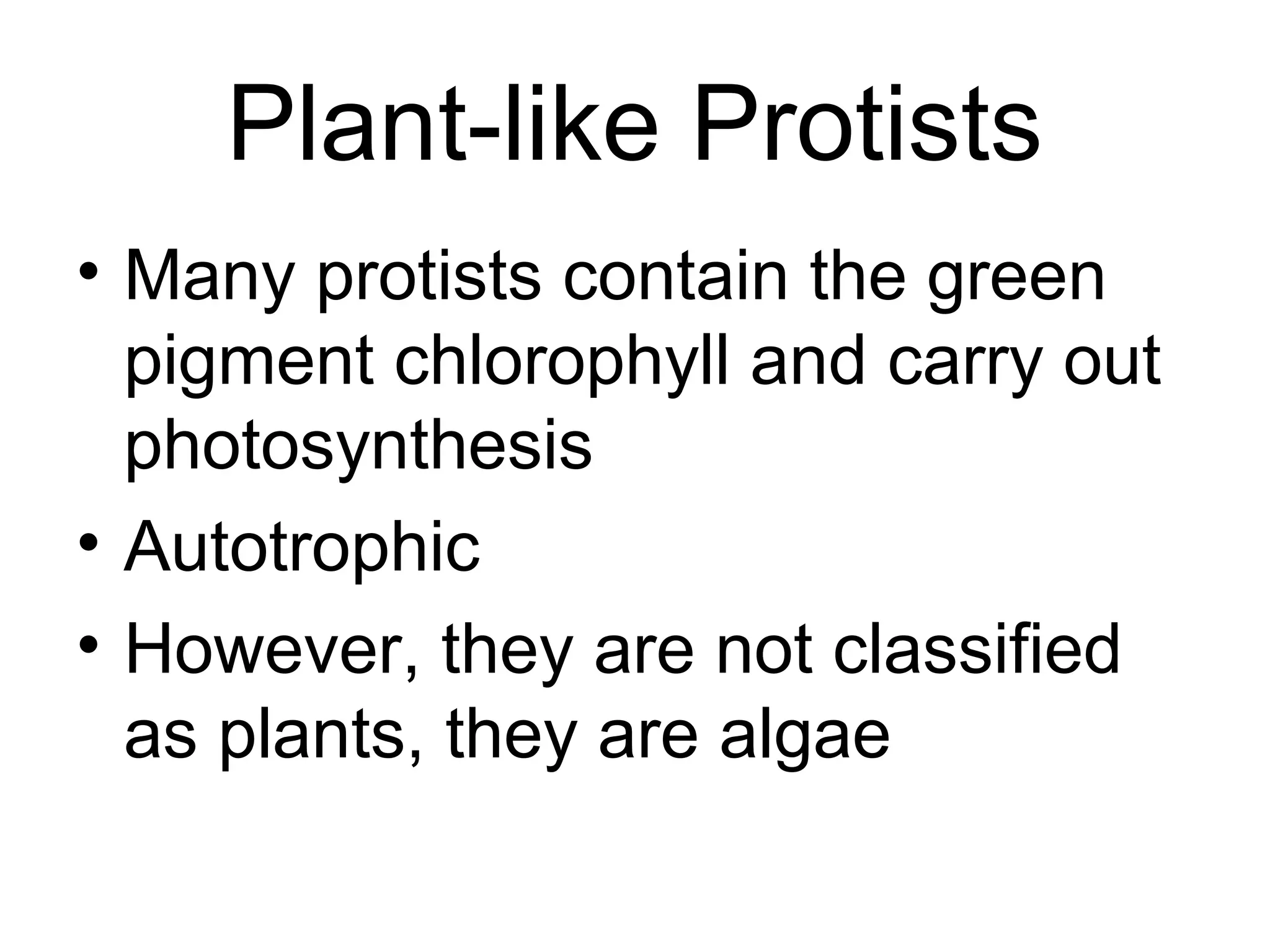 Biology - Chp 20 - Protists - PowerPoint | PPT