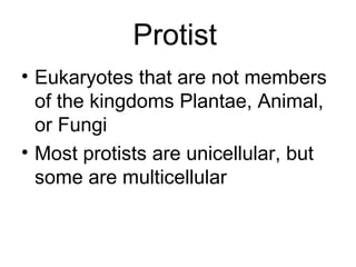 Biology - Chp 20 - Protists - PowerPoint | PPT