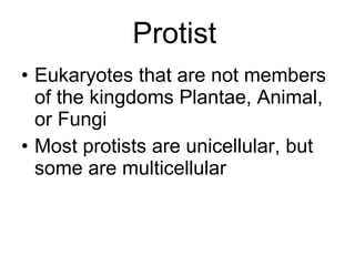 Biology - Chp 20 - Protists - PowerPoint | PPT