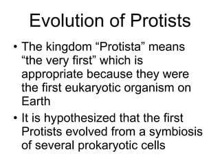 Biology - Chp 20 - Protists - PowerPoint | PPT