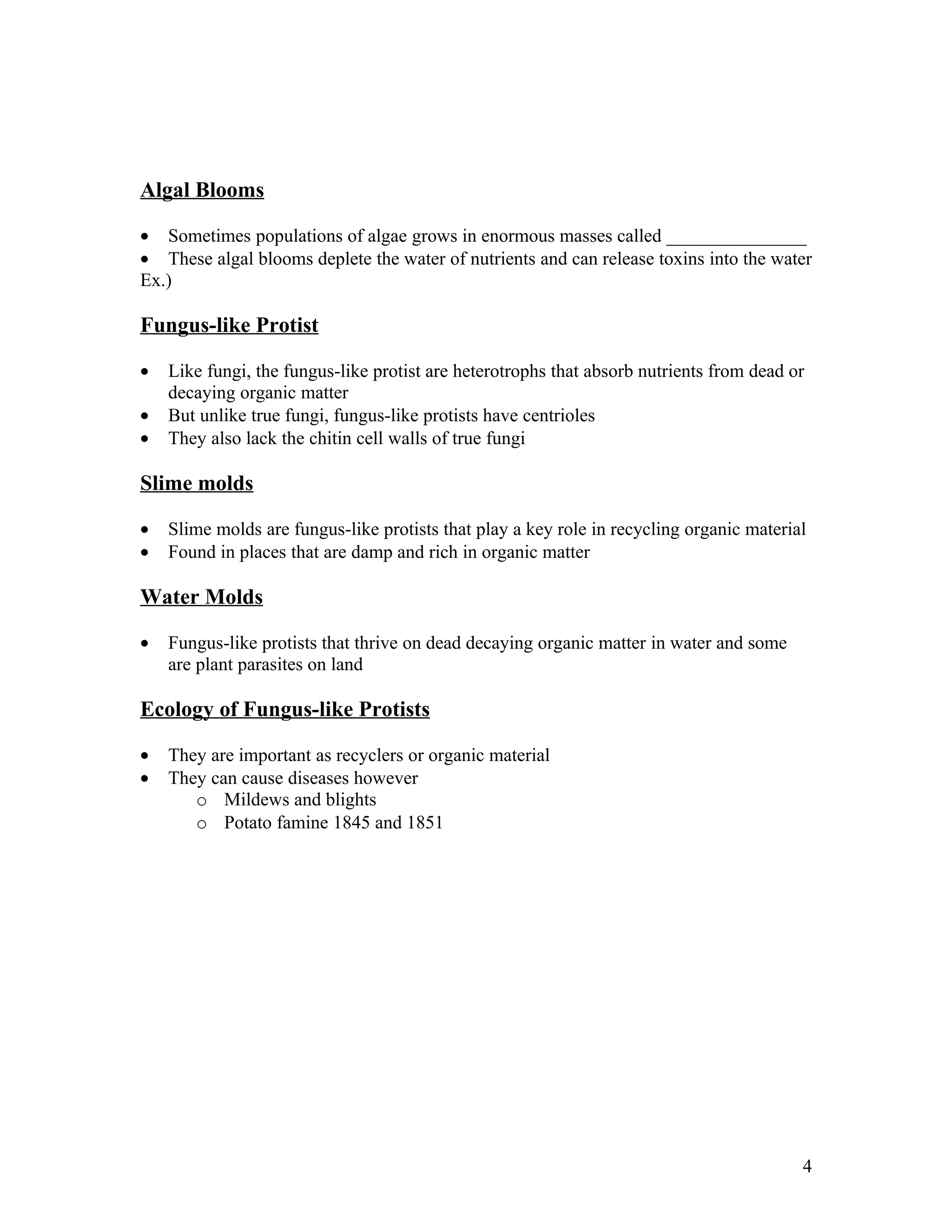Biology - Chp 20 - Protists - Notes | DOC