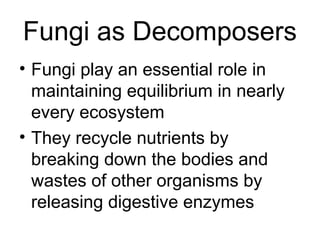 Biology - Chp 21 - Fungi - PowerPoint | PPT