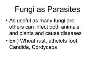 Biology - Chp 21 - Fungi - PowerPoint | PPT