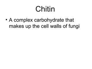 Biology - Chp 21 - Fungi - PowerPoint | PPT