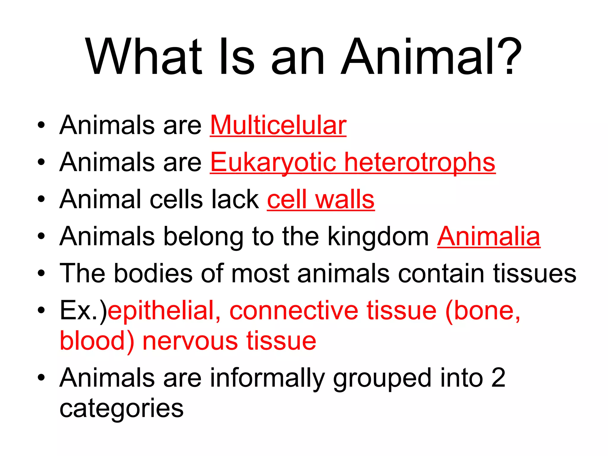 Biology - Chp 26 - Animals - PowerPoint | PPT