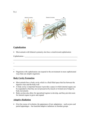 Biology - Chp 26 - Animals - Notes | PDF