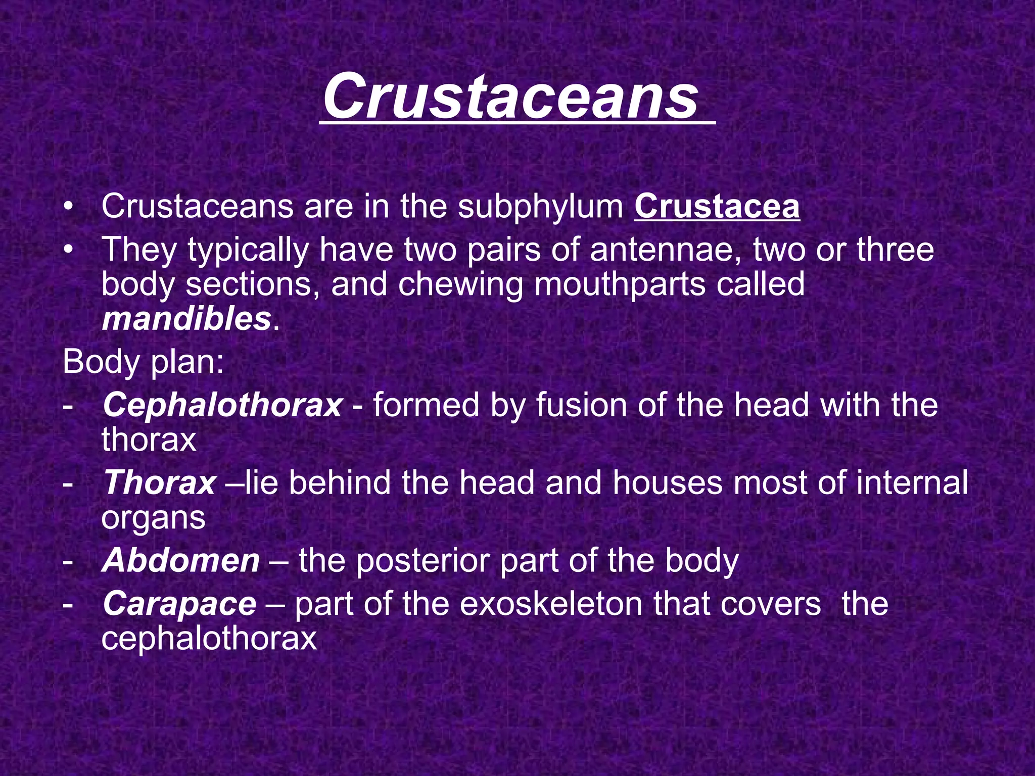 Biology chapter-28_section_2[1] | PPT