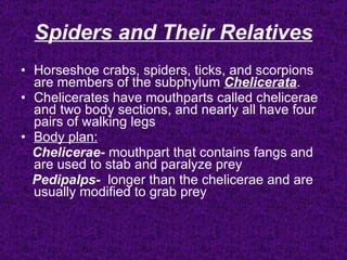 Biology chapter-28_section_2[1] | PPT