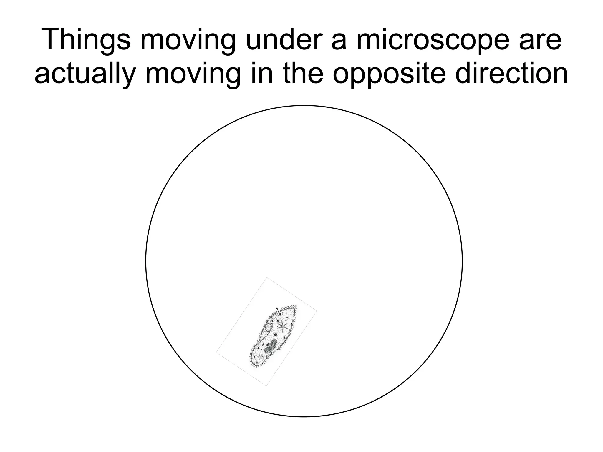 Biology - Chp 3 - Cells - PowerPoint | PPT