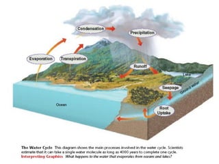 Biology - Chp 3 - The Biosphere - PowerPoint | PPT