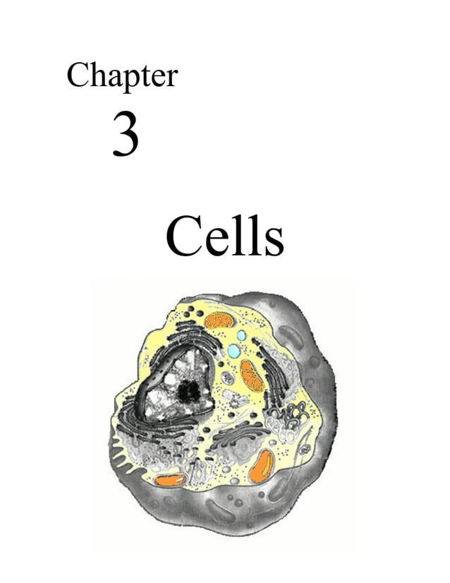 Biology - Chp 3 - Cells - Notes | PDF