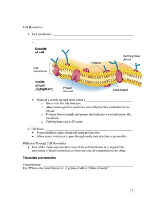 Biology - Chp 3 - Cells - Notes | PDF