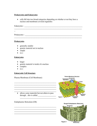 Biology - Chp 3 - Cells - Notes | PDF