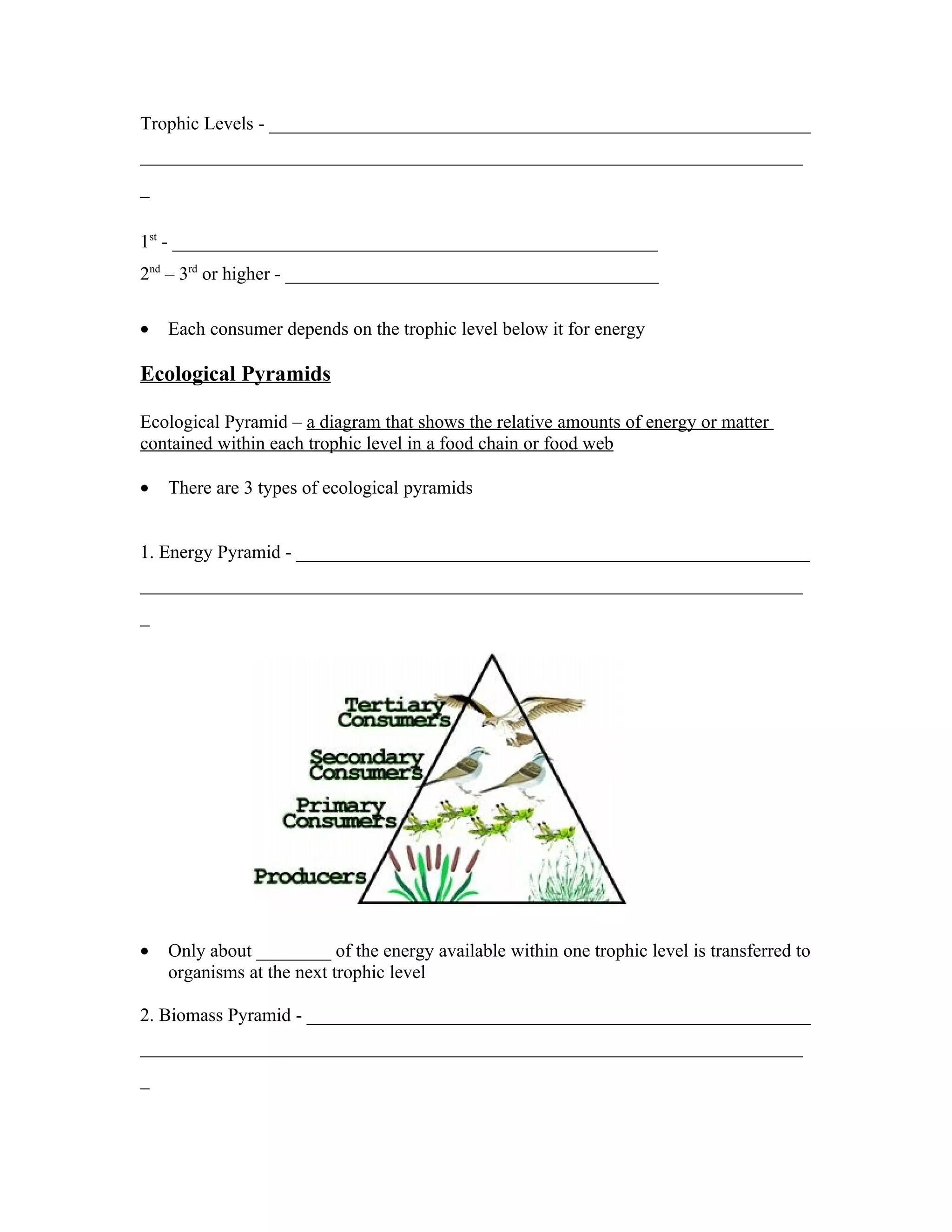Biology - Chp 3 - The Biosphere - Notes | DOC