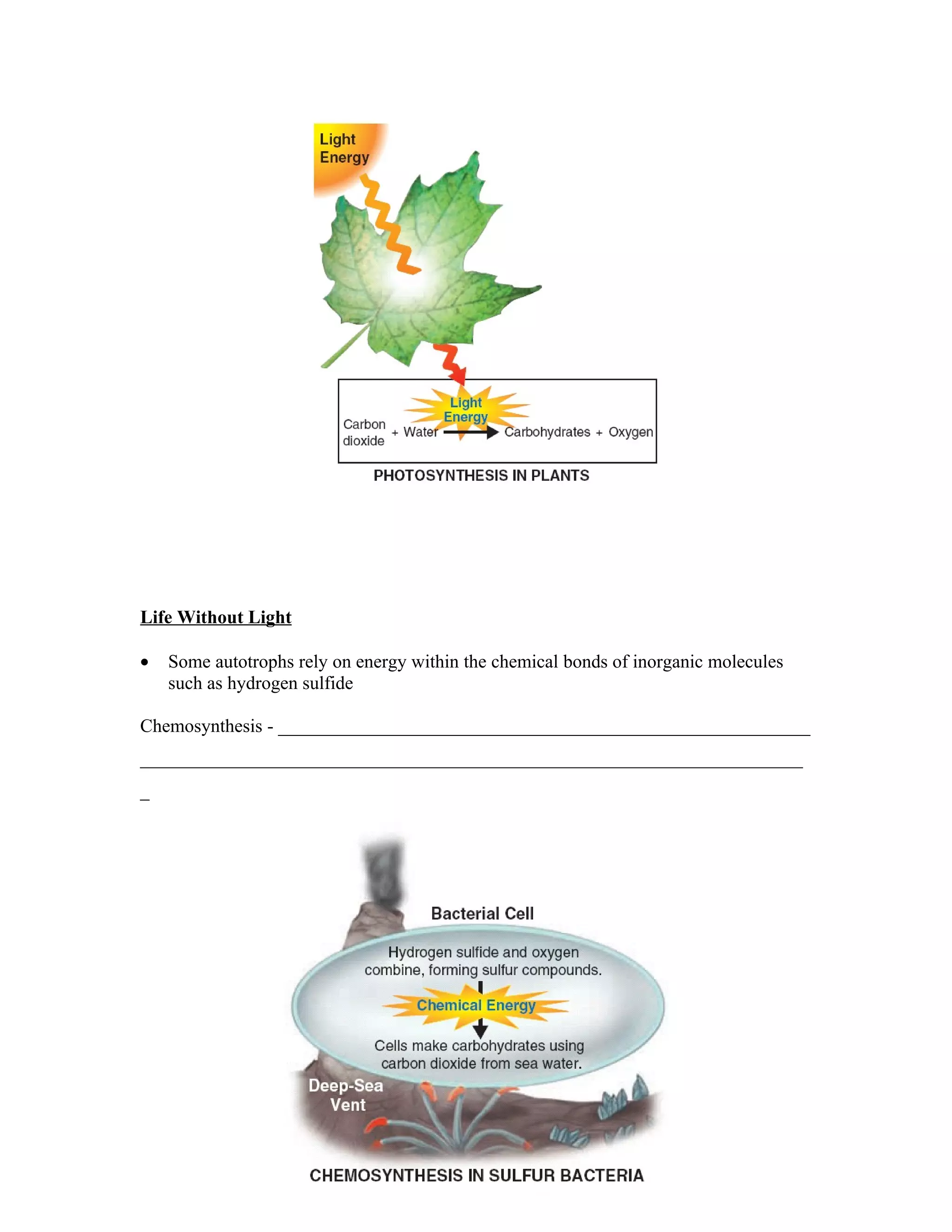 Biology - Chp 3 - The Biosphere - Notes | DOC