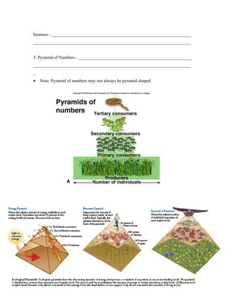 Biology - Chp 3 - The Biosphere - Notes | DOC
