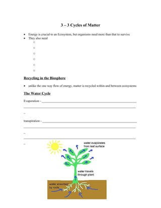Biology - Chp 3 - The Biosphere - Notes | DOC