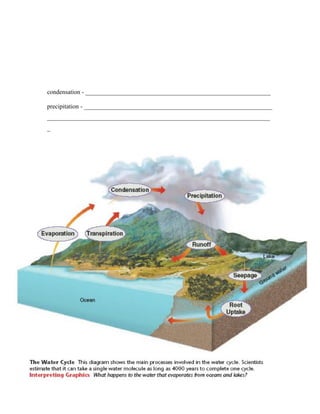 Biology - Chp 3 - The Biosphere - Notes | DOC