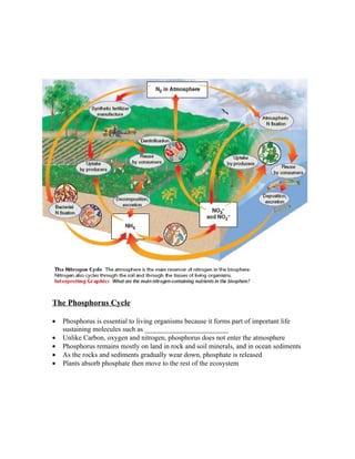 Biology - Chp 3 - The Biosphere - Notes | DOC