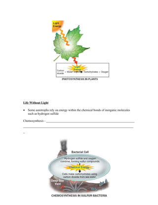 Biology - Chp 3 - The Biosphere - Notes | DOC