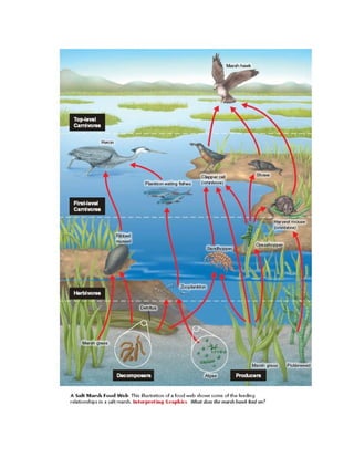 Biology - Chp 3 - The Biosphere - Notes | DOC