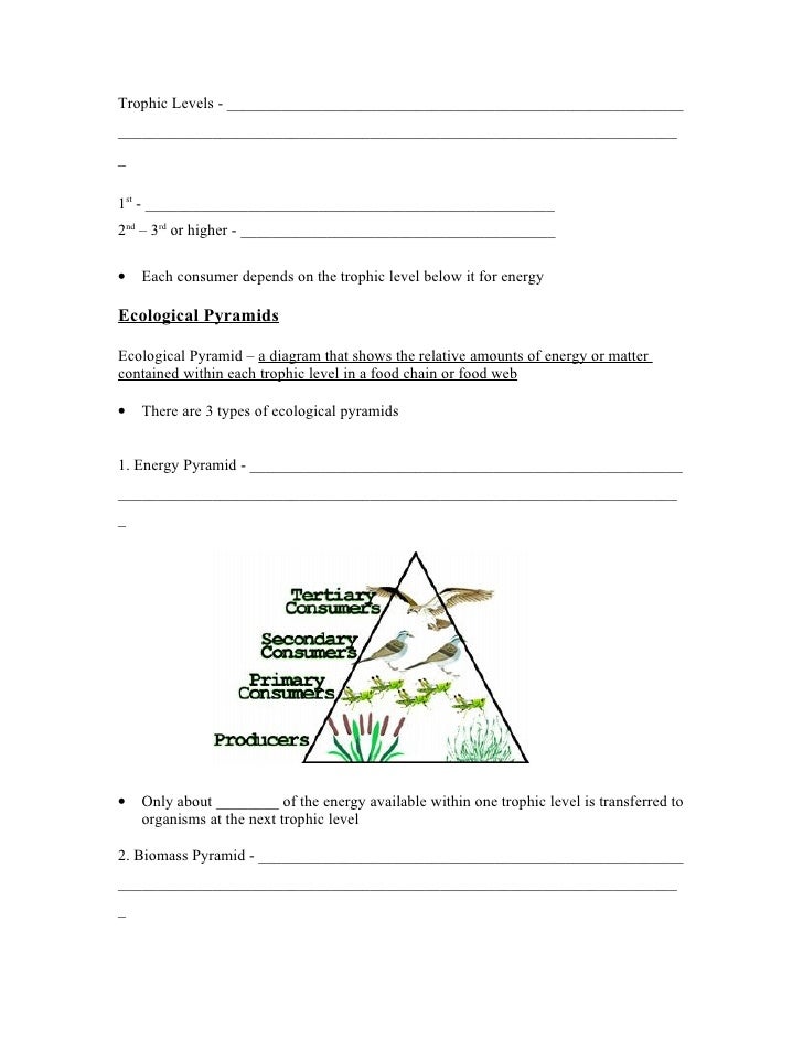 Biology - Chp 3 - The Biosphere - Notes