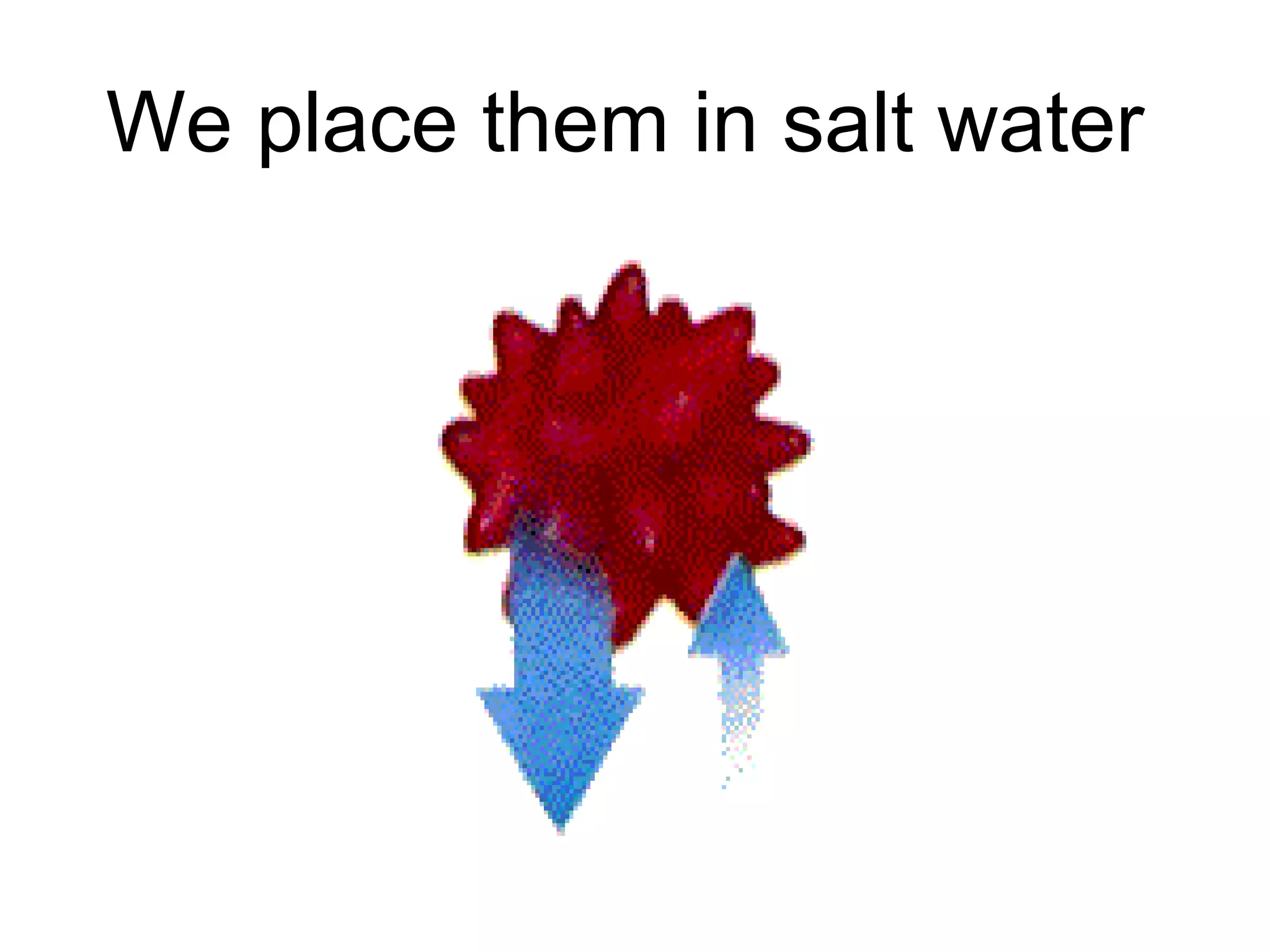 Biology - Chp 3 - Cell Processes Review - PowerPoint | PPT