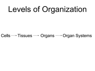 Biology - Chp 3 - Cell Processes Review - PowerPoint | PPT