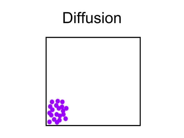 Biology - Chp 3 - Cell Processes Review - PowerPoint | PPT