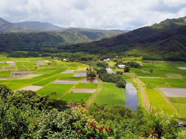 Biology - Chp 6 - Humans In The Biosphere - PowerPoint | PPT