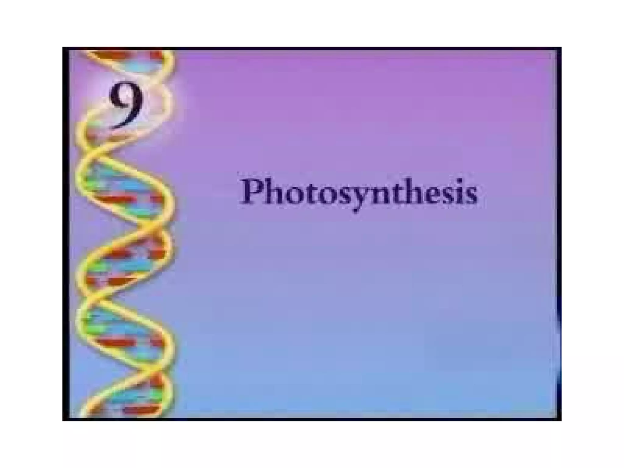 Biology - Chp 8 - Photosynthesis - PowerPoint | PPT