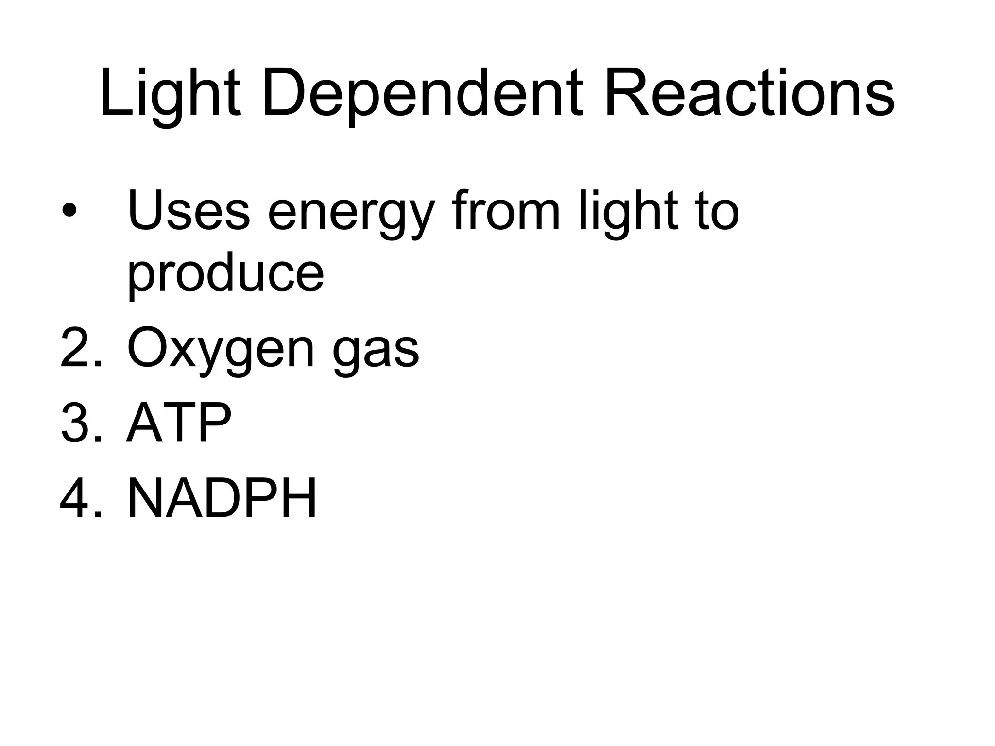 Biology - Chp 8 - Photosynthesis - PowerPoint | PPT