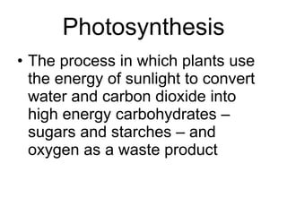 Biology - Chp 8 - Photosynthesis - PowerPoint | PPT