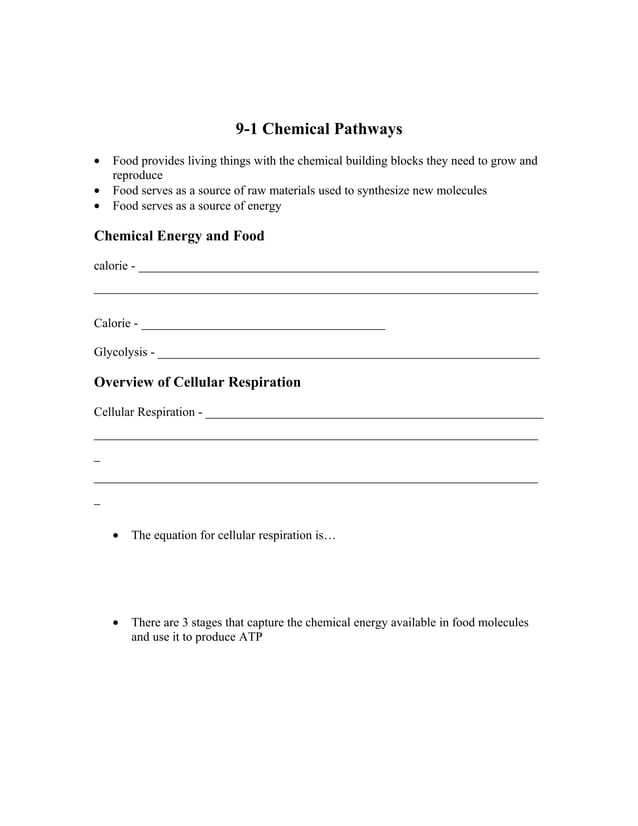 Biology - Chp 9 - Cellular Respiration - Notes | DOC