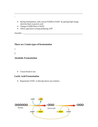 Biology - Chp 9 - Cellular Respiration - Notes | DOC