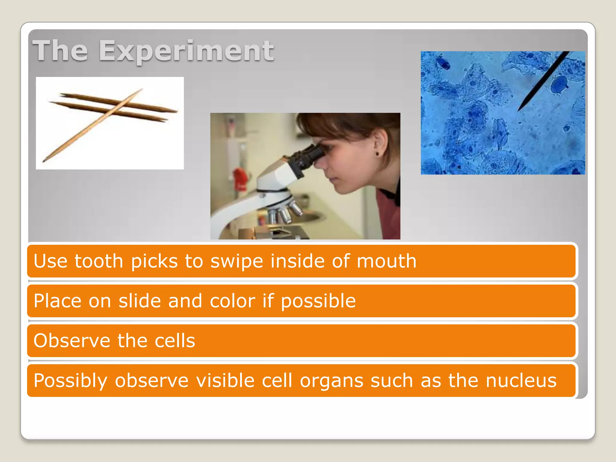 Biology cheek cells | PPTX